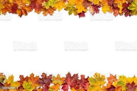 가을 단풍 나무 잎 은 흰색 복사 공간을 떠나 배열 가을 배열 가을 단풍에 대한 스톡 사진 및 기타 이미지 가을 단풍 가을 프레임 Istock