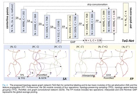【论文阅读】tag Net：topology Aware Graph Network For Centerline Based Vessel
