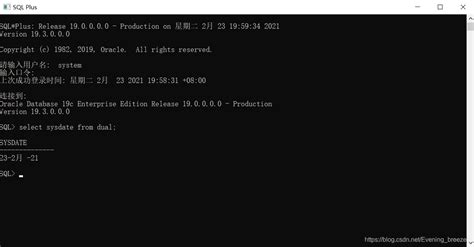 Oracle19c的安装配置教程oracle19c官网 Csdn博客