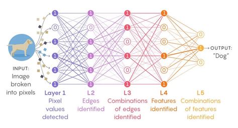 Designing Your Neural Networks Kdnuggets