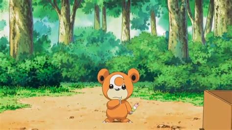 File Teddiursa Dp143 Png Bulbapedia The Community Driven Pokémon Encyclopedia