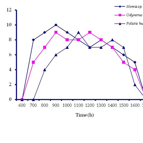 Hourly Foraging Activity Of Insects On Bruguiera Cylindrica Download