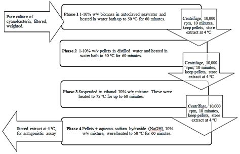 Flow Chart Of Extraction Of Bioactive Protein Extracts From