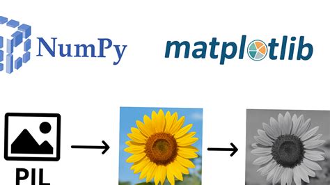 python image processing