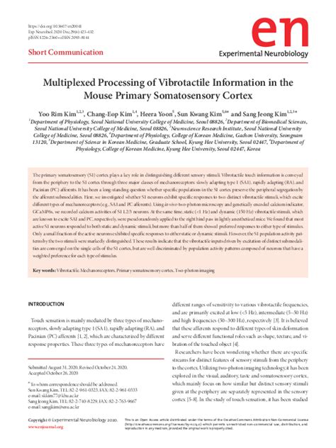 Pdf Multiplexed Processing Of Vibrotactile Information In The Mouse Primary Somatosensory Cortex