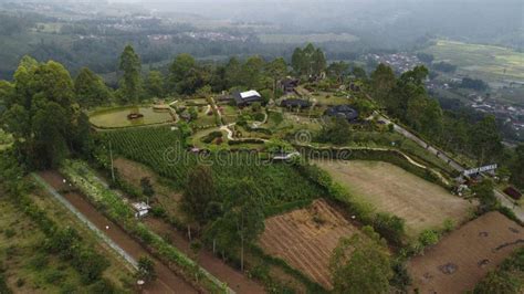 High Angle Shot Of The Java Island Trees And Buildings In Indonesia