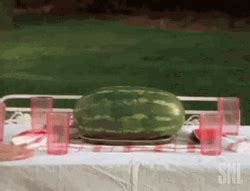 Watermelon S Download And Share