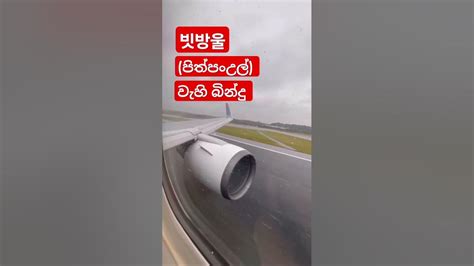 වැහි බින්දු කොරියානු බසින් Youtube