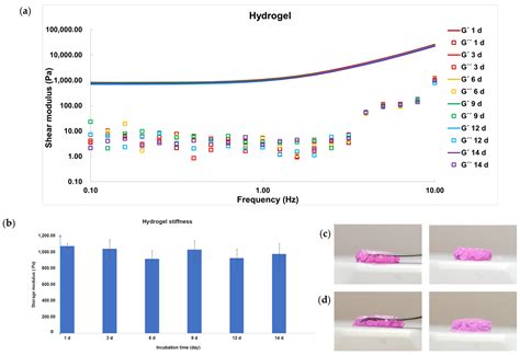 Polyglycerol Based Hydrogel As Versatile Support Matrix For 3d Multicellular Tumor Spheroid