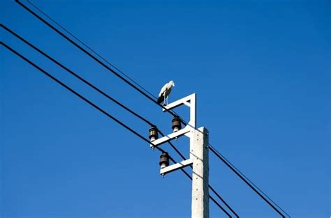 Overhead Cable Uncovered Composition Operation And Functionality