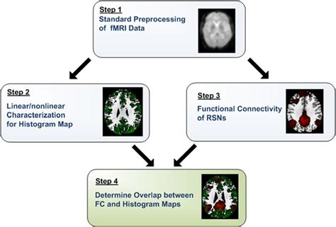A Linear Nonlinear Characterization Of Resting State Brain Networks In