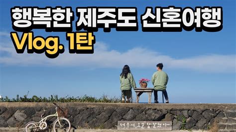 신혼여행 Vlog 차를 싣고 떠나는 제주도 신혼여행 1화ㅣ동문시장•옥돔•황금향•레드키위•야시장ㅣ 먹방•흑돼지고로케•전복버터밥•육전•바베큐and랍스타박스•전복김밥 Youtube