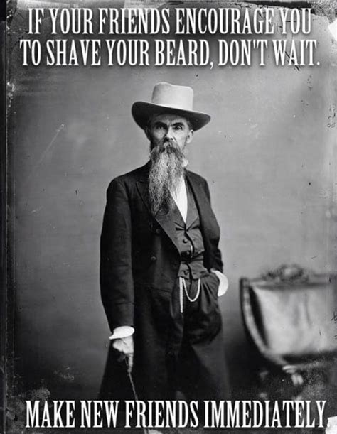 50 Funny Beard Memes That Ll Definitely Make You Laugh