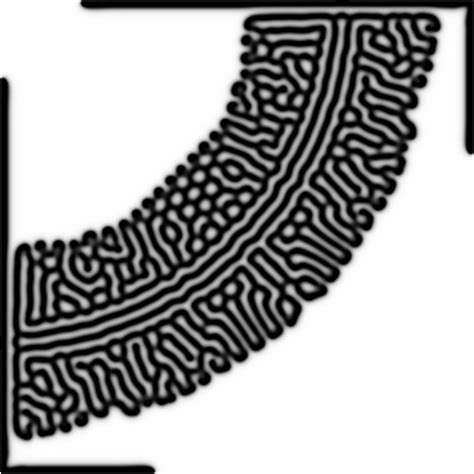 Reaction Diffusion Tumblr