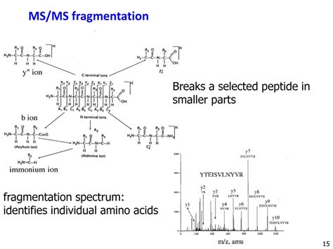 Proteomics February 15 2017 Dr Ir Perry Moerland Ppt Download