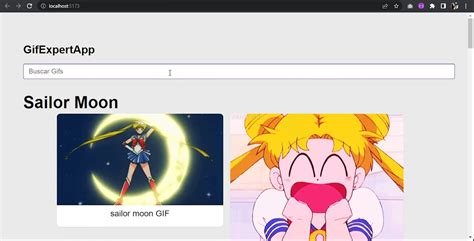 GitHub Florluzduarte Gif Expert App Un Buscador De Gifs Creado Con El Poder De React Vite Y