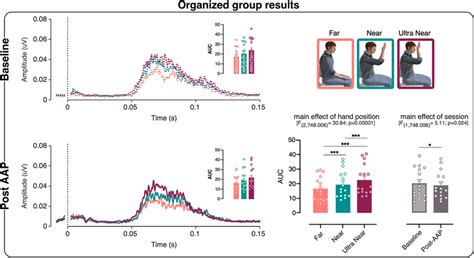 organized group results left panels rectified hand blink reflex hbr