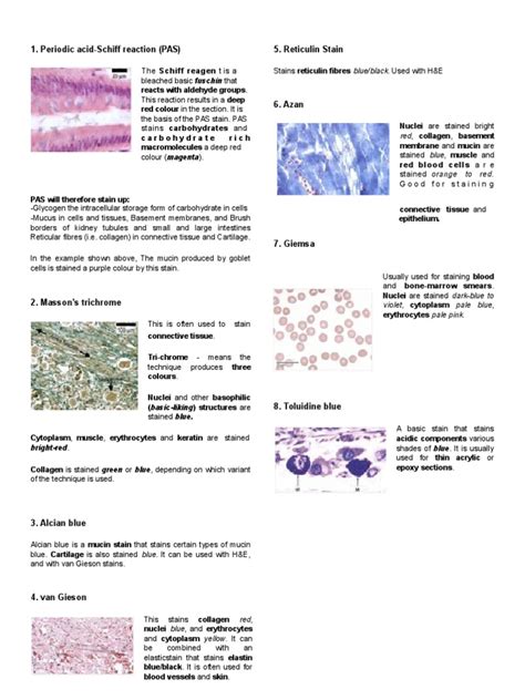 Histology Stains Staining Histology