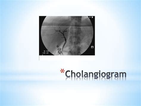 Eldar Ahmadov Mirjalal Kazimi Kamran Beydullayev Ceyhun Isayev Mail Sadiyev Department Of