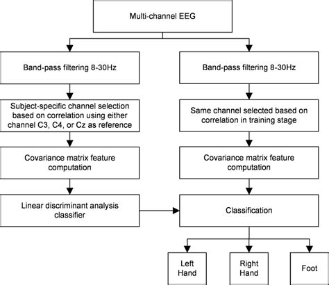 A Block Diagram Detailing The Signal Processing Pipeline From Both A Download Scientific