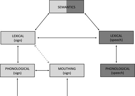 Cross Language Activation In Bimodal Bilinguals Do Mouthings Affect