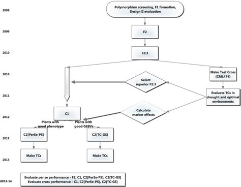 Work Flow Summary Of The Genomic Selection Procedures Used In The