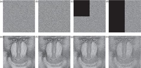 Image Encryption Scheme Based On Optical Chaos And Dna Rubiks Cube