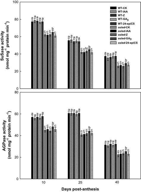 Activities Of Sucrose Synthase Susase And Adenosine Diphosphate Download Scientific Diagram