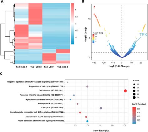 Single Cell Rna Seq Detects Distinct Transcriptional Patterns Of Lsc Download Scientific