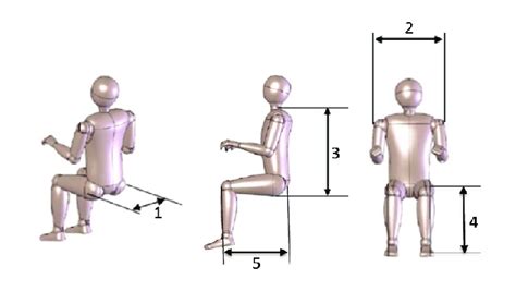 Anthropometric Dimensions Download Scientific Diagram