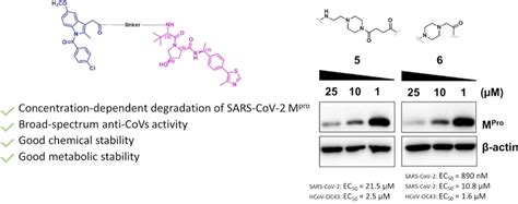 Gagan Kukreja On Linkedin Design Synthesis And Biological Evaluation Of First In Class…