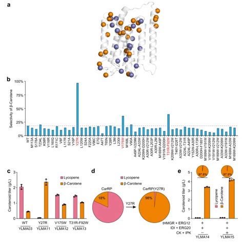 Sustainable Upgrading Of Plastics To Biodegradable Polymers In A Synthetic Microbial Ecosystem
