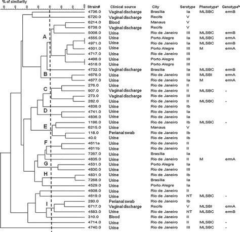 Dendrogram Constructed By Similarity And Clustering Analysis Using The
