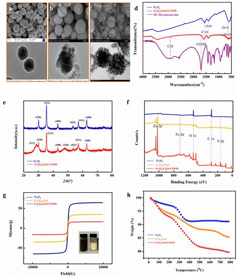 A Multifunctional Magnetic Fluorescent Nanoprobe For Copperii Using Zns Dl Mercaptosuccinic