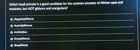 Which Fossil Primate Is A Good Candidate For The Common Ancestor Of