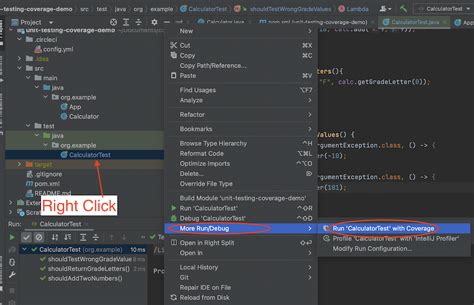 Cpit 251 Unit Testing And Code Coverage