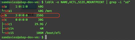 Sap Abap Central Install Abap Platform 1909 Dev Edition On An Azure