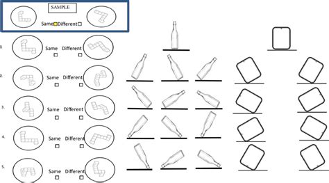 Spatial Reasoning Tests Distributed To Babes As Pre And Download Scientific Diagram