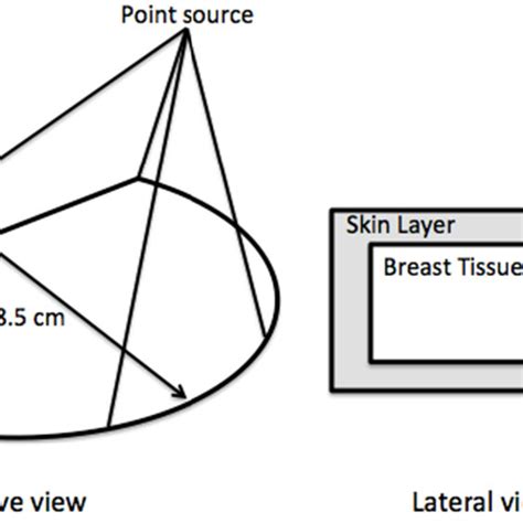 Schematic Representation Of The Simulated Geometry The Prospective