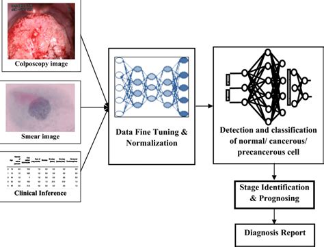 Deep Learning Architecture For Early Detection Of Cervical Lesion