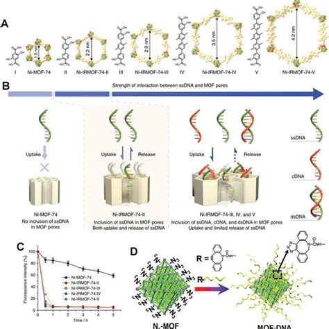 Mofs For Mrna Delivery A C Reproduced With Permission [²⁴] Copyright
