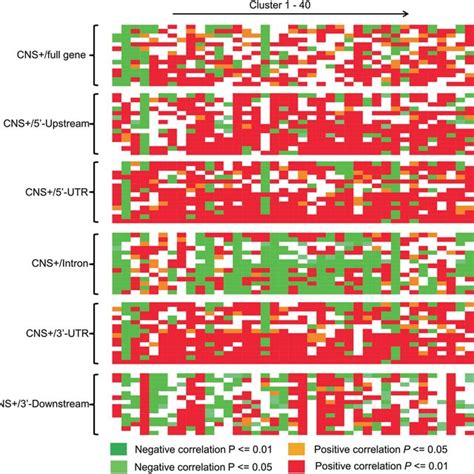Correlation Between Conserved Noncoding Sequence Cns Frequency And Download Scientific