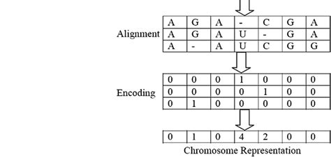 An Example Of Individuals And Chromosome Representation Of Individual