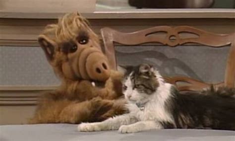 Alf o Eteimoso vai ganhar novos episódios Jornal O Globo