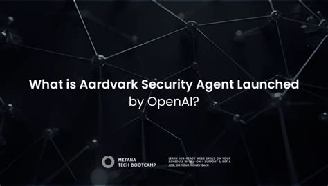 Deep Learning Models For Classification A Comprehensive Guide Metana