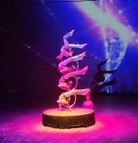 제주도 실내 가볼만한곳 제주 아트서커스 추천 네이버 블로그