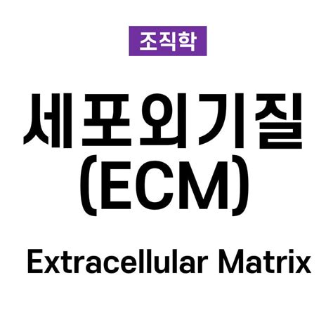상피조직 01 상피 조직 Epithelial Tissue 의학당