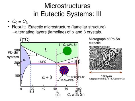Microstructure Composition Eutectic Phase Diagram Solved Q1