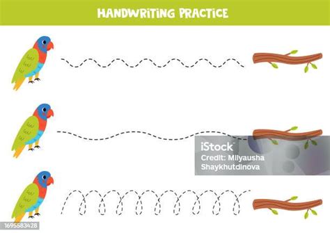 아이들을 위한 트레이싱라인 귀여운 무지개 진훙잉꼬와 나뭇가지 필기 연습 0명에 대한 스톡 벡터 아트 및 기타 이미지 0명