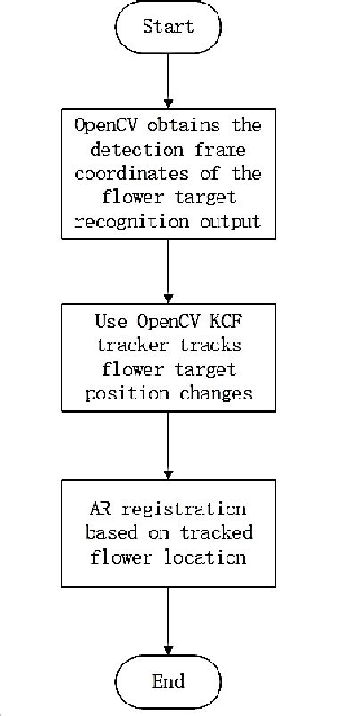 Flower Target Tracking Process Download Scientific Diagram